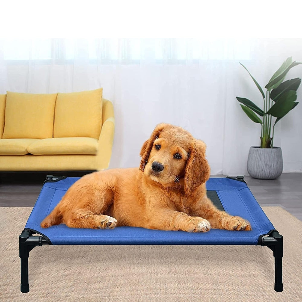 WigWagga - 110 cm Elevated Dog Bed with Detachable Steel Frame & Oxfor ...